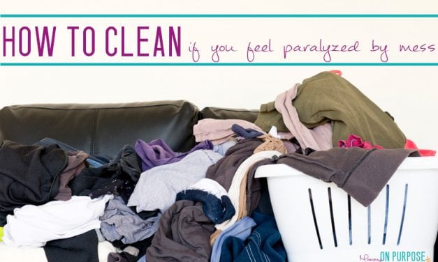 Cleaning Tips Archives - Mommy on Purpose