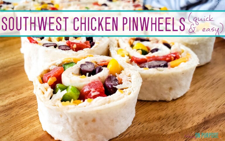 Healthy Southwest Chicken Pinwheels Appetizer - Mommy on Purpose