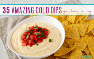 35 Fantastic Cold Dip Recipes for Your Next Party - Mommy on Purpose