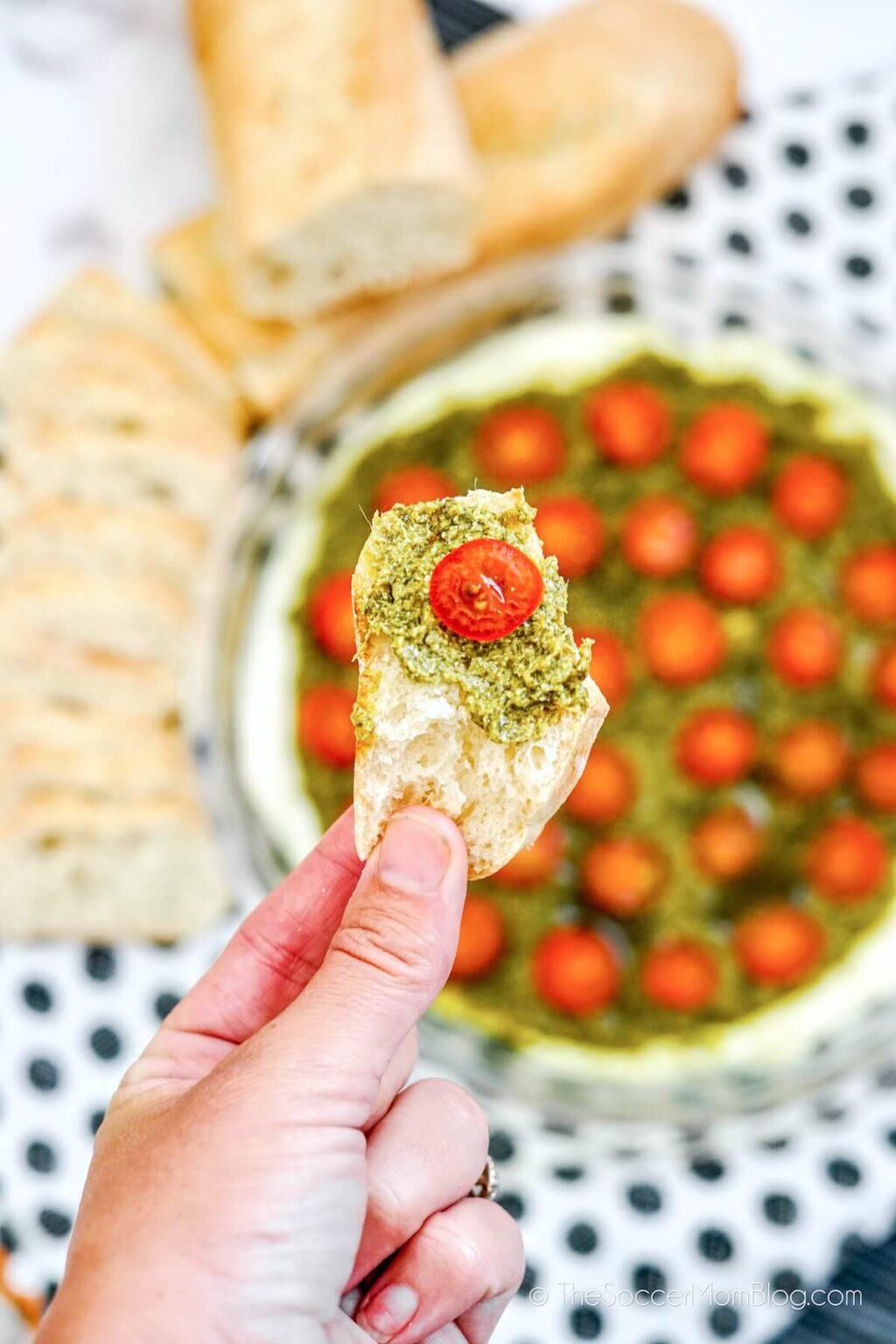 37 Hot Dip Recipes that Will Tantalize Your Tastebuds
