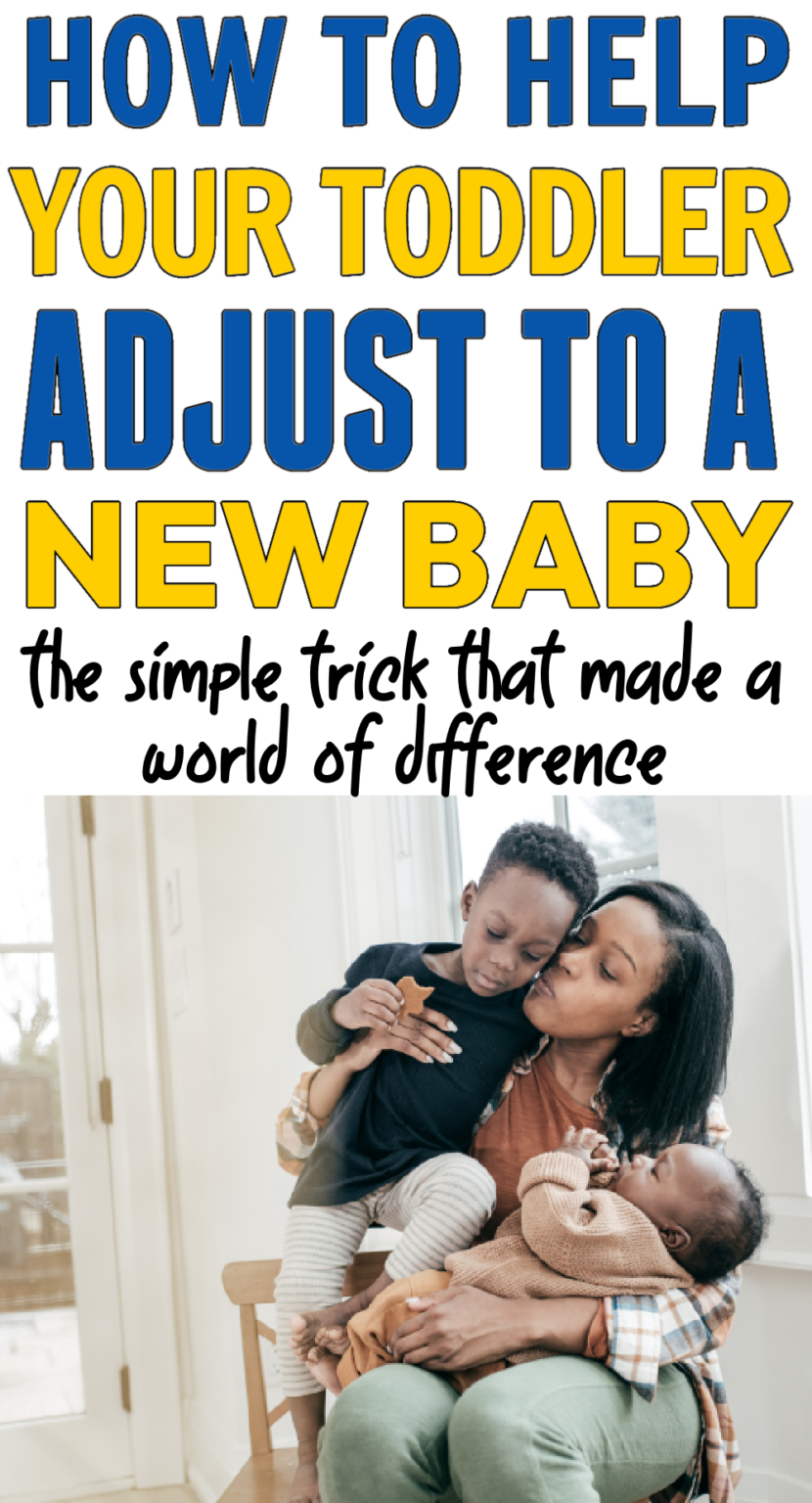 How to Help Your Toddler Adjust to a New Baby - Mommy on Purpose